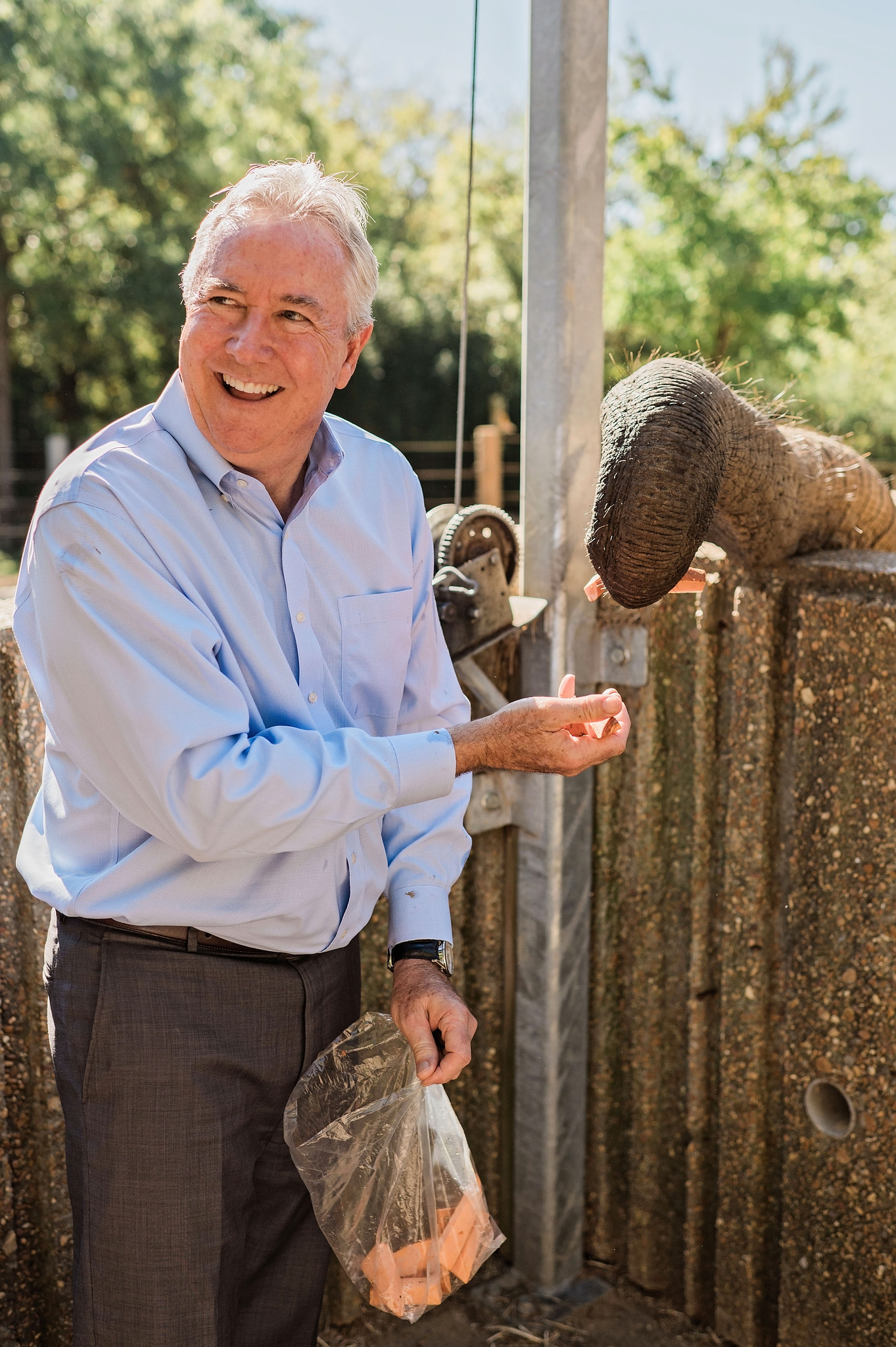 Memphis Flyer | Dean Steps Down as Zoo CEO