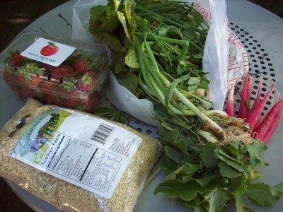 Memphis Flyer Csa Week 2