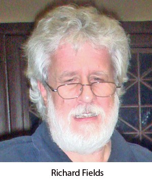 Memphis Flyer | Snake-bit Attorney Fields Now Under Suspension