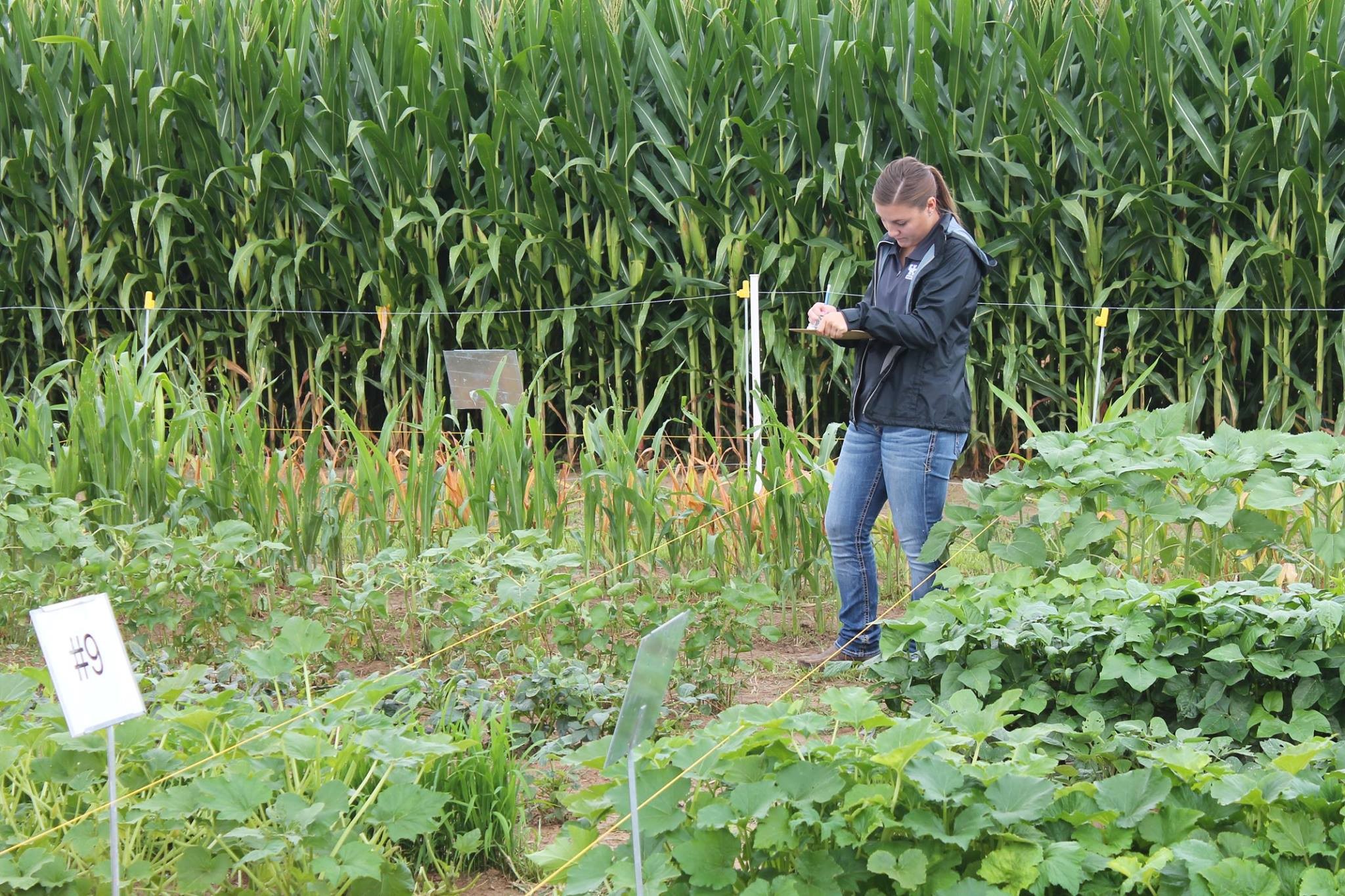 Memphis Flyer | Agricenter Looks to to the Future of Organics